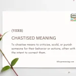 Ostensibly Meaning: Simple Definition & Daily Use Examples